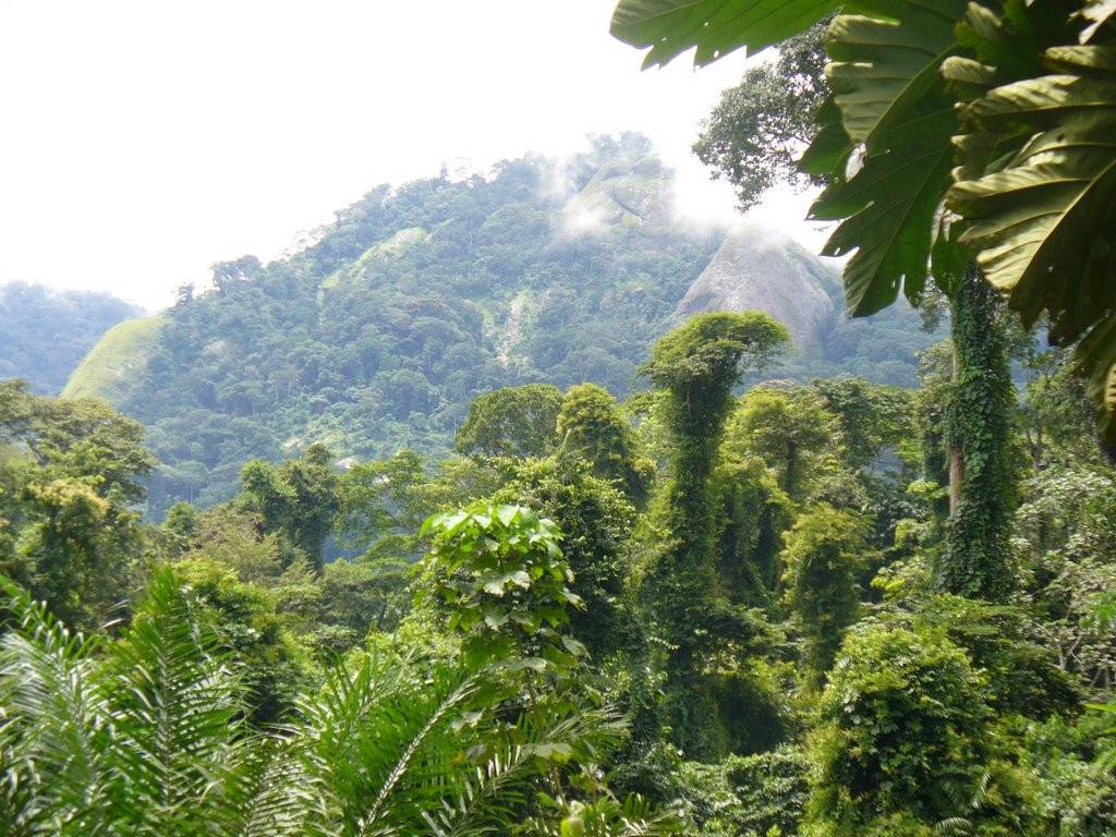 Nigerian Game and Forest Reserve