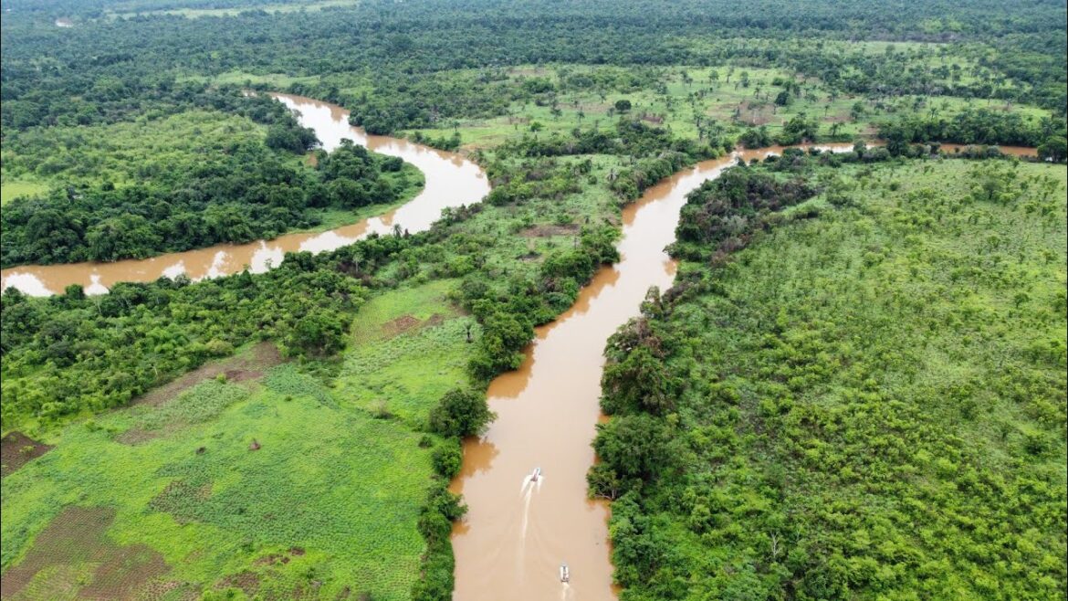The Wonders of Urashi River and Oguta Lake in Imo State, Nigeria