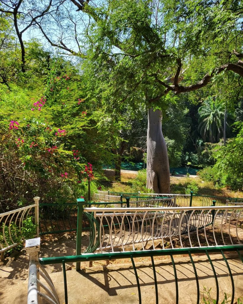 8 Breathtaking Nigerian Locations Ideal for Movie Scenes
