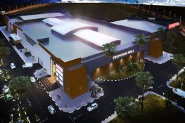 An Insider’s Guide to Lagos’ Danfo Buses: Chaos or Culture?