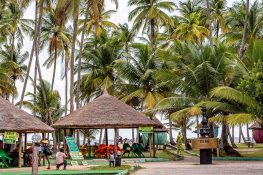 The Dufuna Canoe: Africa's Oldest Boat