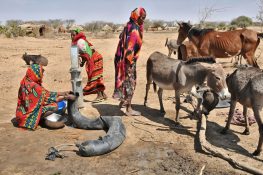 The Shuwa Arabs of Nigeria: Nomadic Tribe of the Sahel