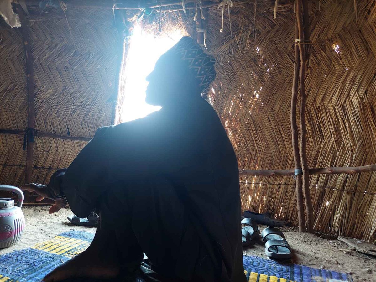 The Shuwa Arabs of Nigeria: Nomadic Tribe of the Sahel