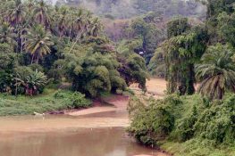 A Guide to Nigeria's Most Exclusive Private Island Getaways