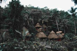 The Igede tribe in Benue state