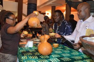 Palm Wine Culture: The Traditional Drink That Unites West Africa