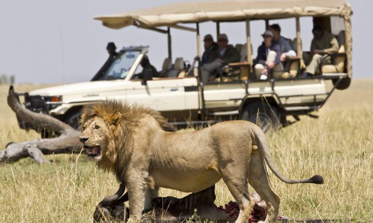 How Much Does an African Safari Cost in 2026? A Realistic Budget Guide ...